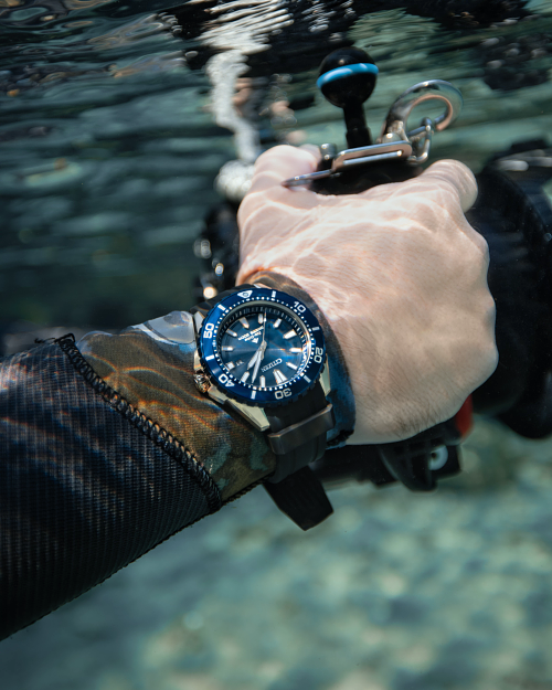 The Silver Queen | Promaster Dive